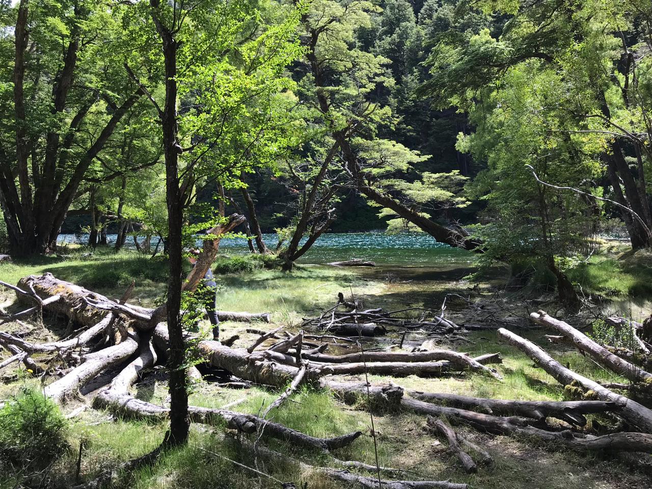 Río Rivadavia Trail | Trip Insiders