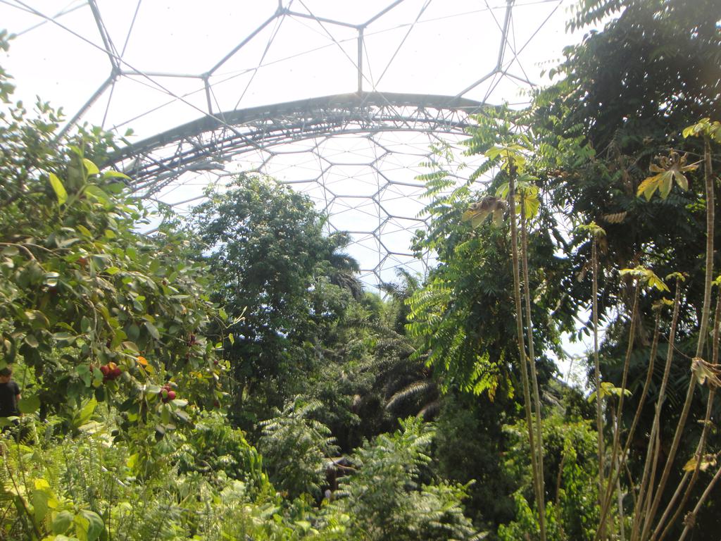 Eden Project’s Rainforest Biome | Trip Insiders